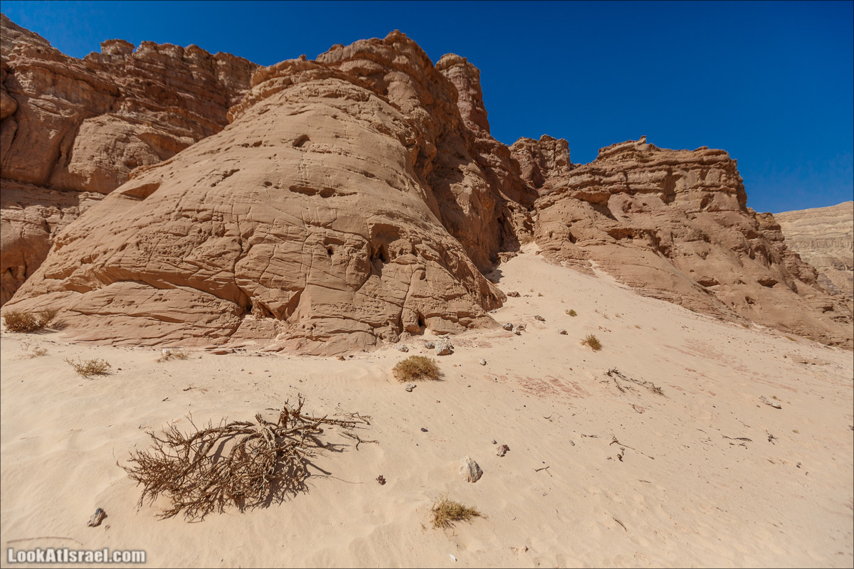 Тимна для тех, кто хочет больше | LookAtIsrael.com - Фотографии Израиля ...